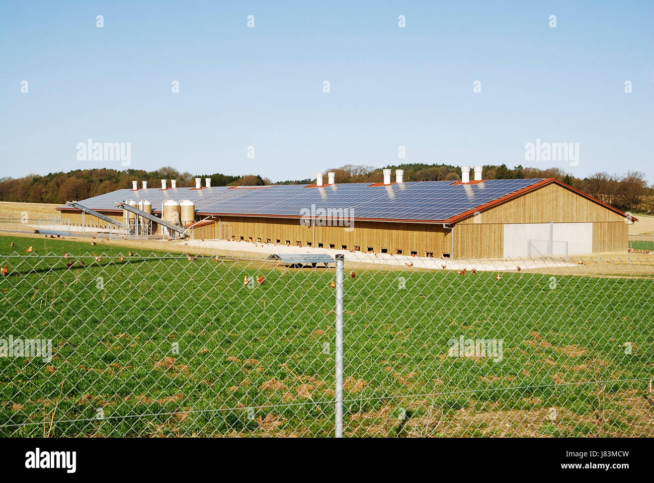 animal agriculture farming barn farm chicken hen chicken farm solar ...