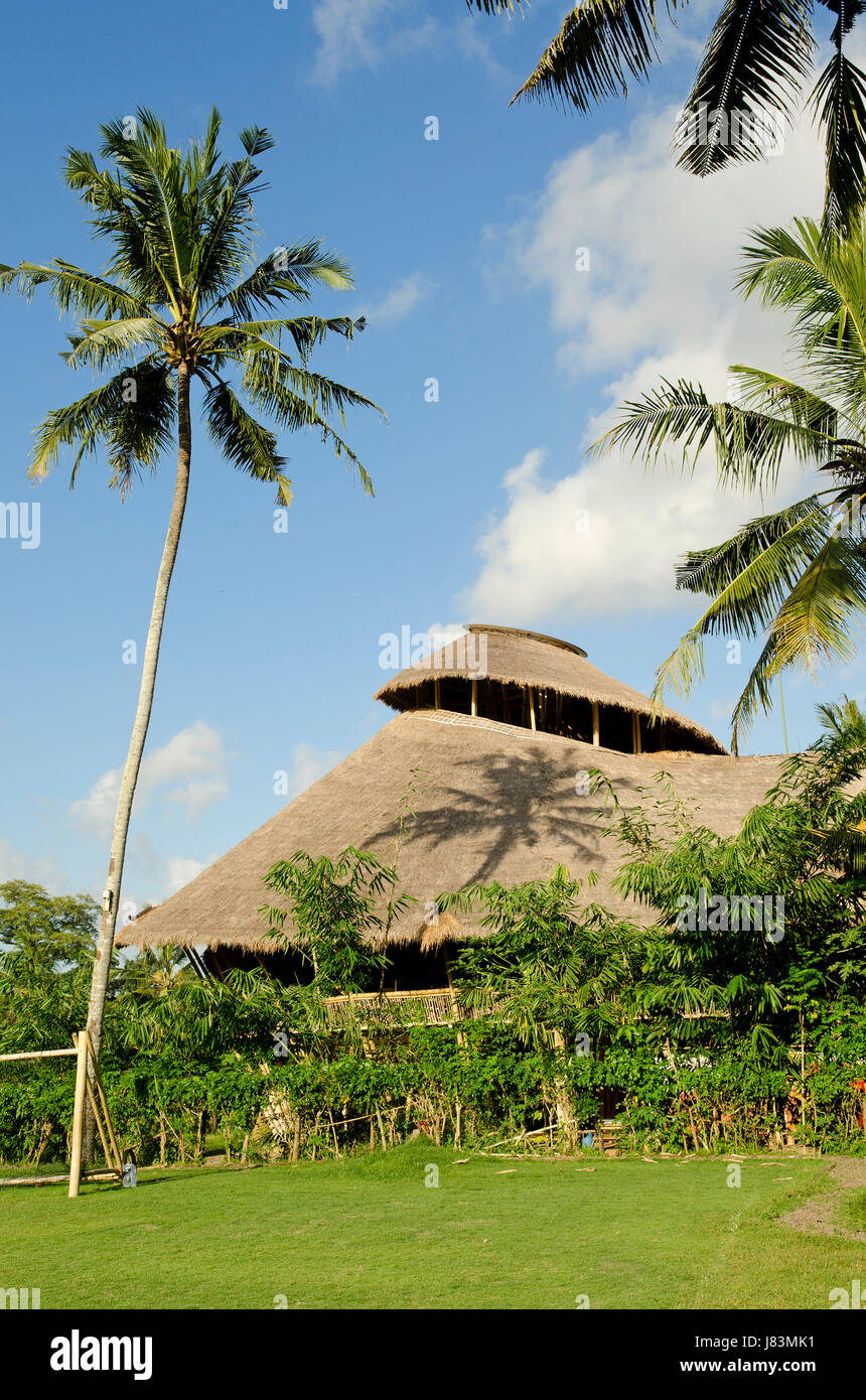 Exotic materials hi-res stock photography and images - Alamy