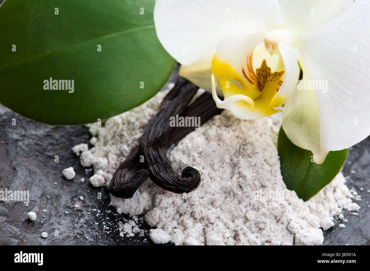 spice flower plant sugar aromatic beans herb vanilla ingredient food aliment Stock Photo - Alamy