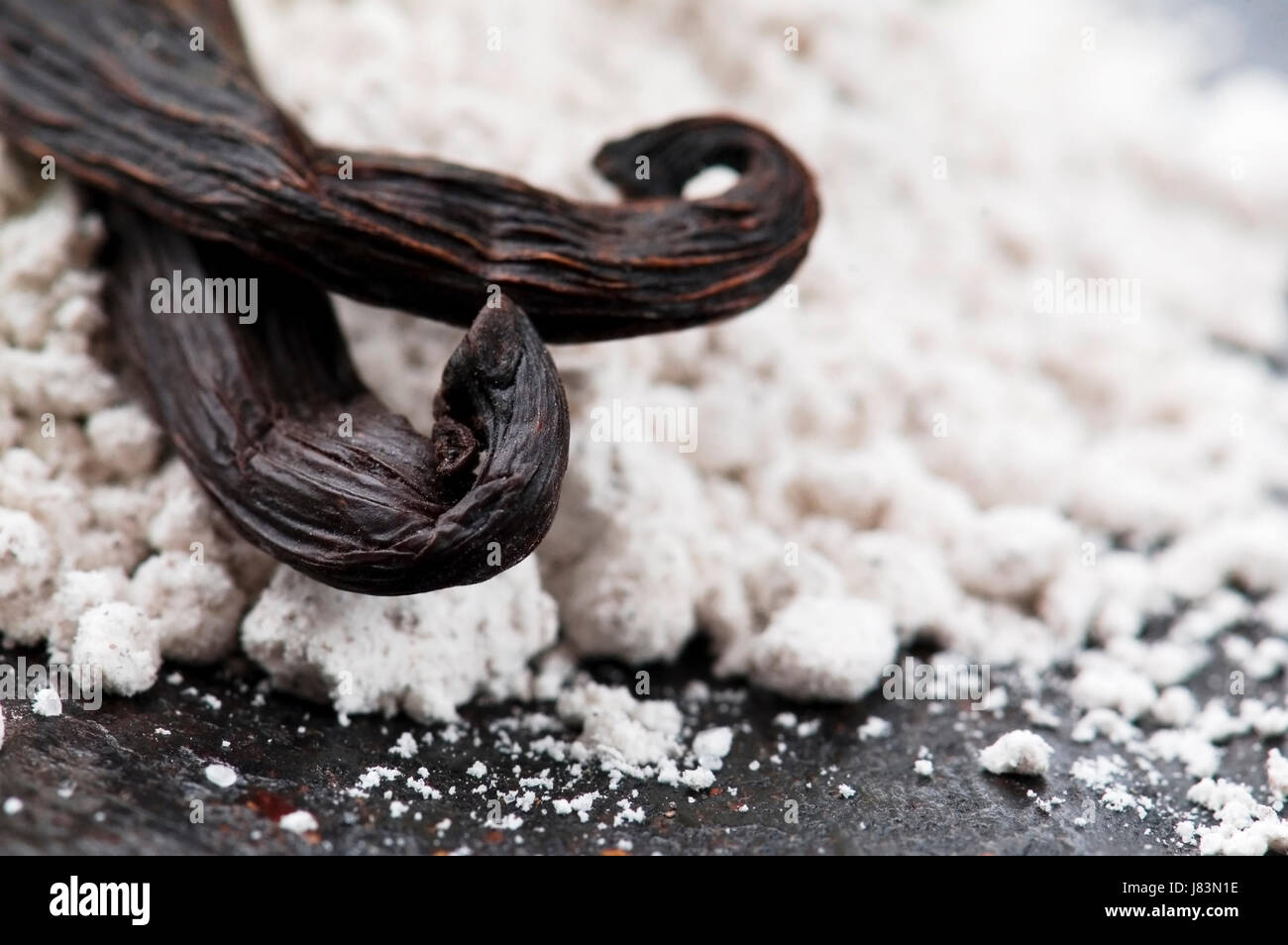 spice flower plant sugar aromatic beans herb vanilla ingredient food aliment Stock Photo - Alamy