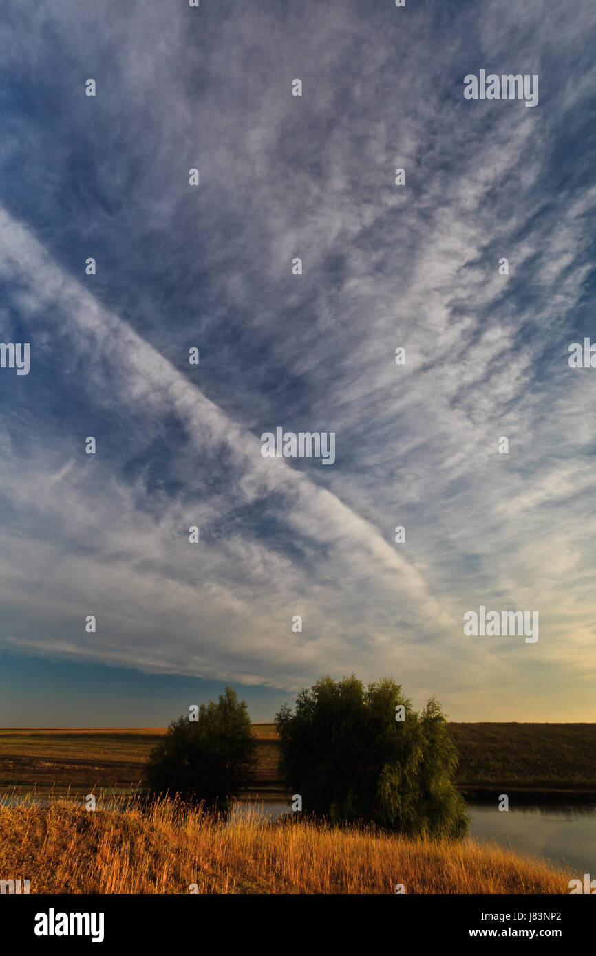 blue beautiful beauteously nice travel environment enviroment tree ...