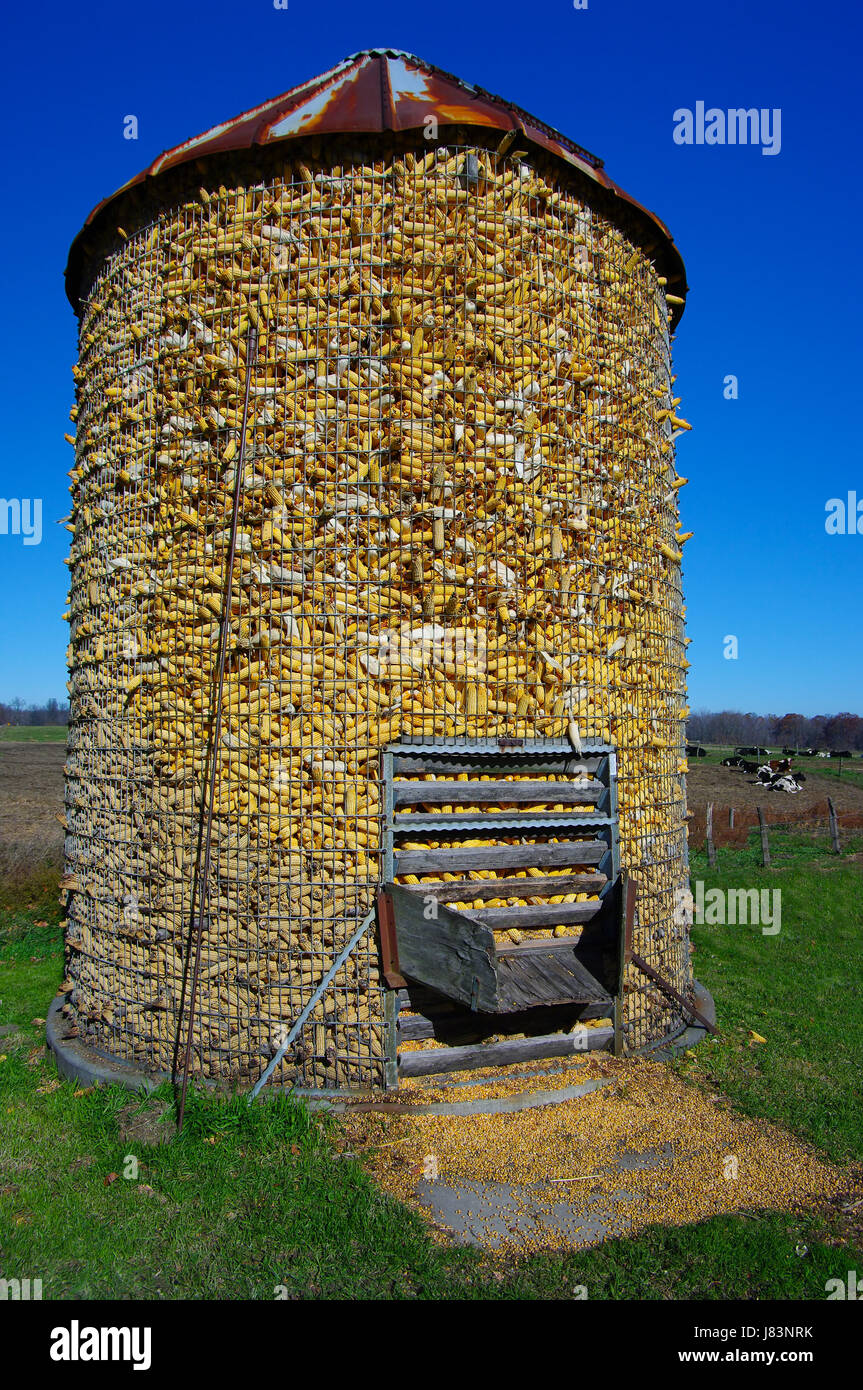 Rural feed and seed store hi-res stock photography and images - Alamy