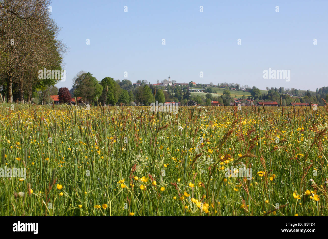 sight view outlook perspective vista panorama lookout background of ...
