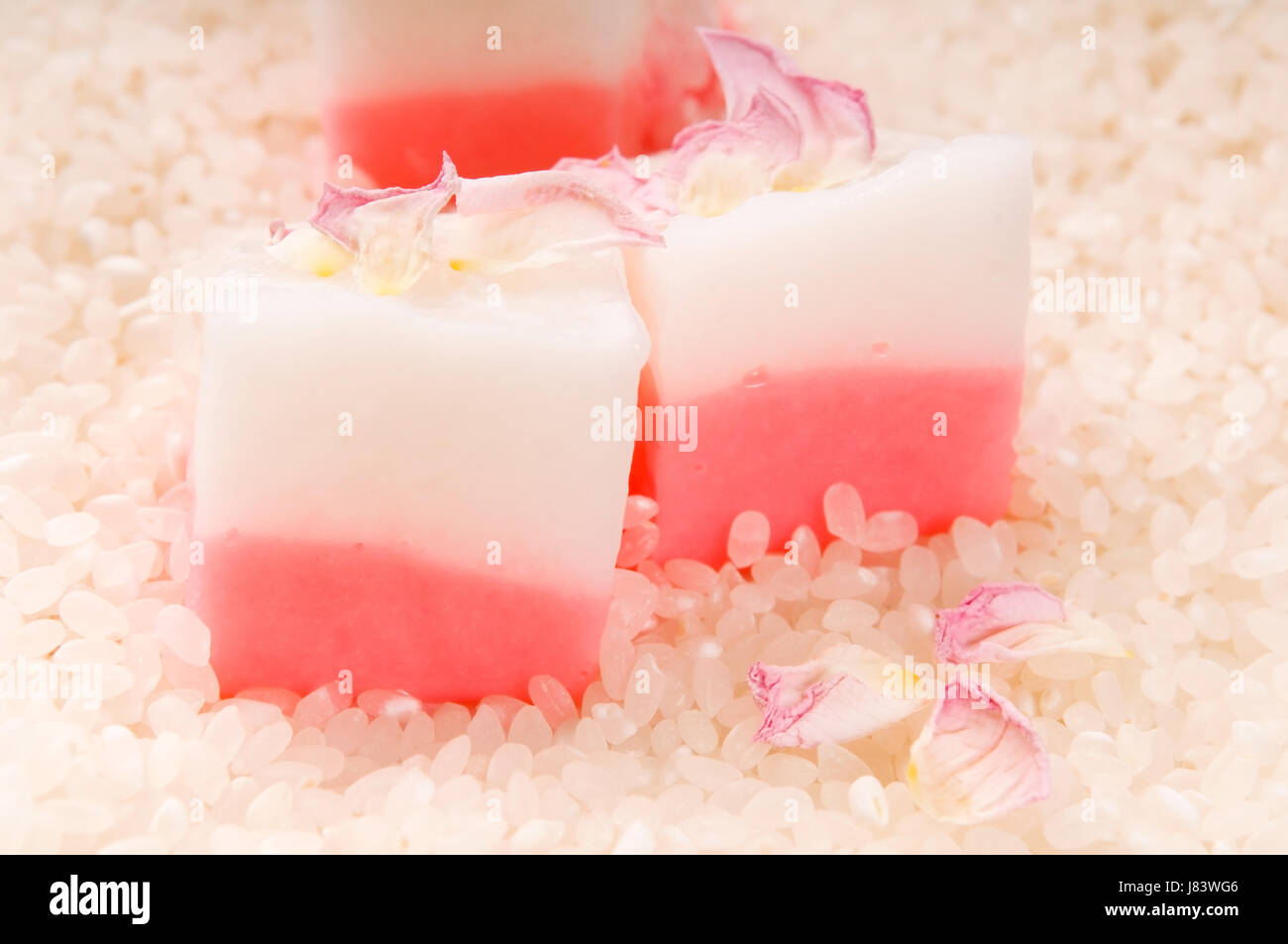 sweet flower plant rose petal japan dessert rice food aliment sweet ...