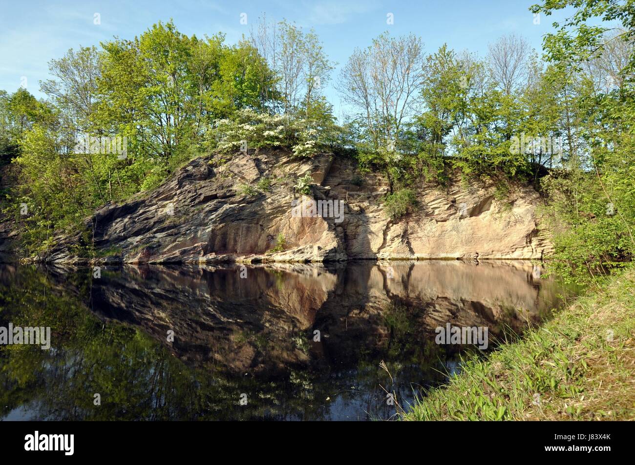 nature-sanctuary saxony erz-mountains conservation of nature ...