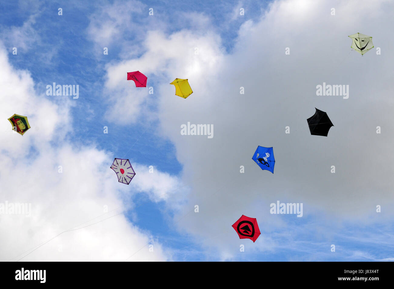 Storm flies hi-res stock photography and images - Alamy