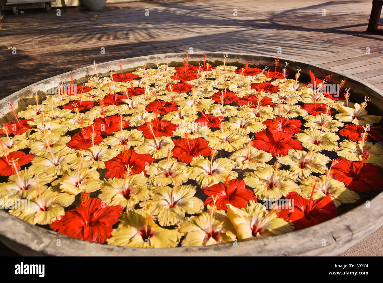 decoration with hibiscus flowers Stock Photo - Alamy