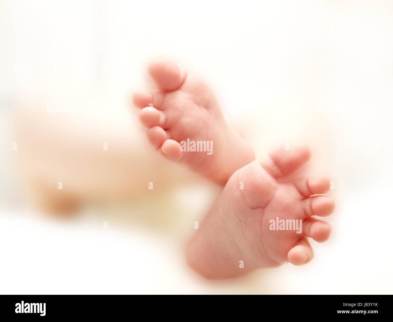 person small tiny little short baby foot feet toe legs hand hands ...