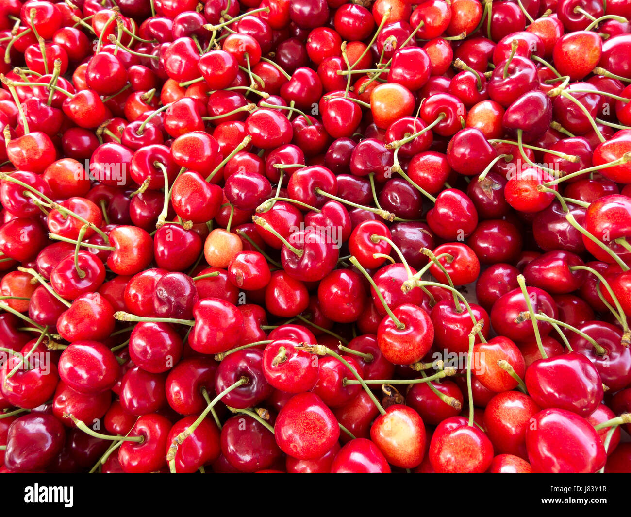 cherry cherries food aliment ripe pome fruit cherry juicy cherries ...