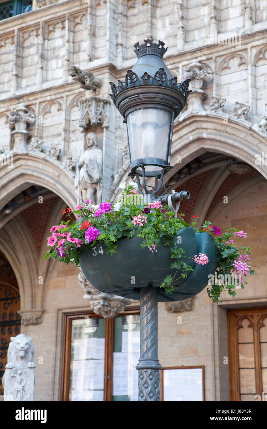 flower plant decoration shiner light lamp luminary travel famous flower ...