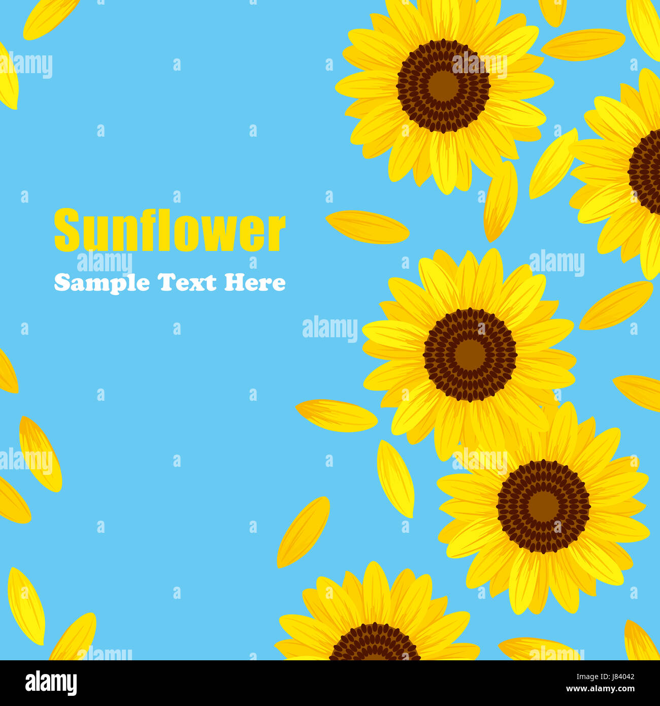 flower plant summer summerly sunflower frame enthusiasm amusement ...