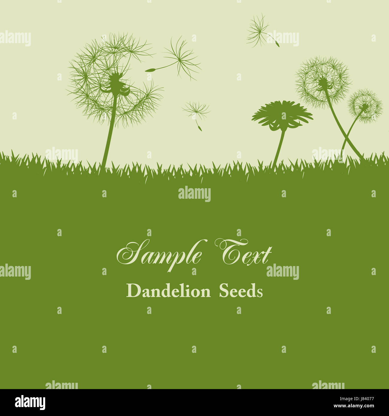 flower plant spring event dandelion frame backdrop background framework ...