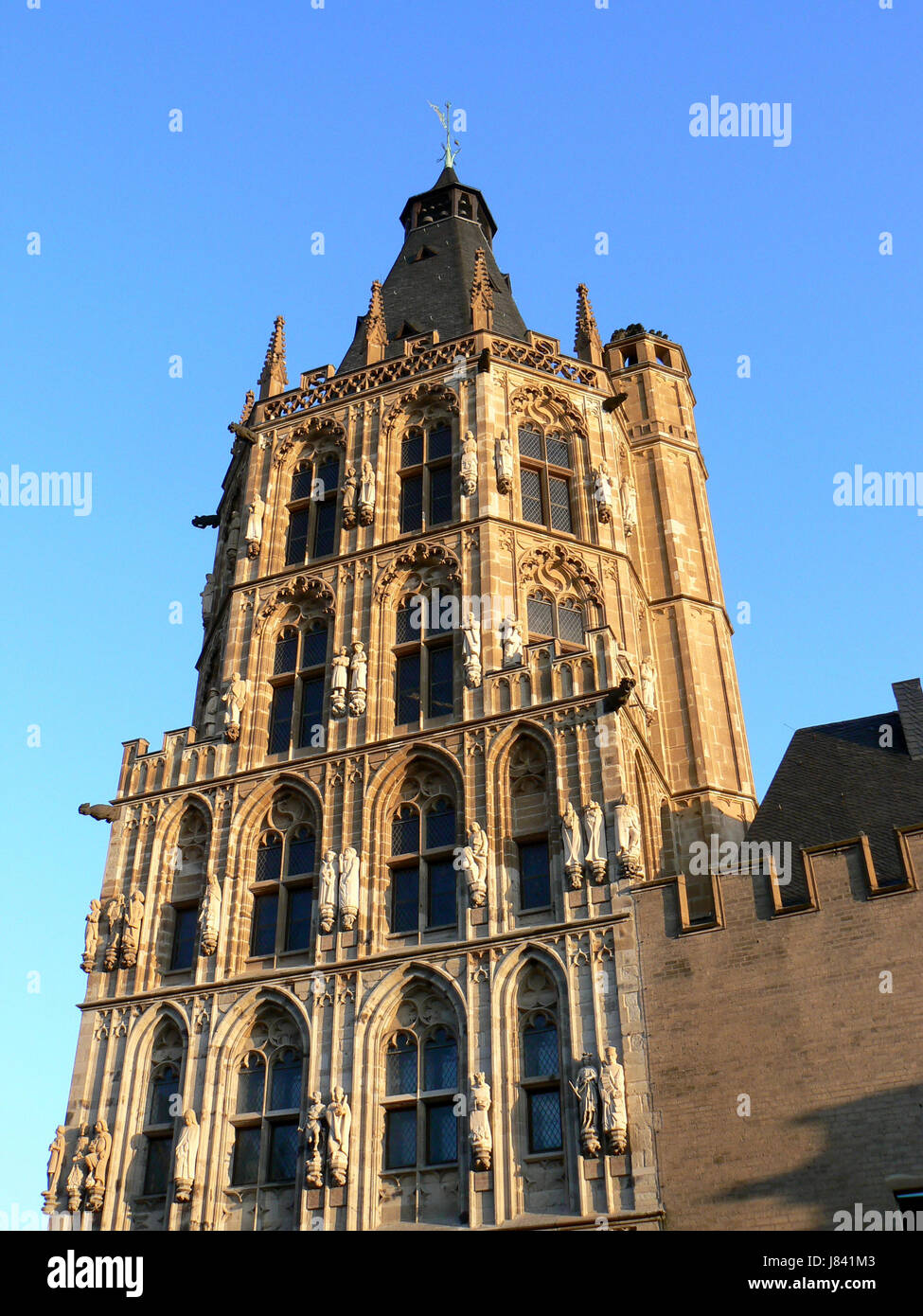 historical cologne sightseeing town hall sandstone renaissance ...