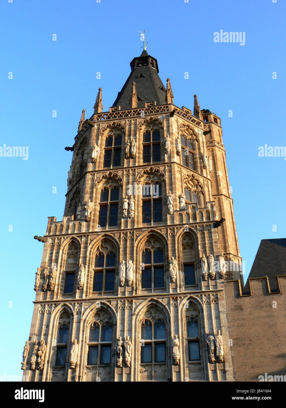 historical cologne sightseeing town hall sandstone renaissance ...