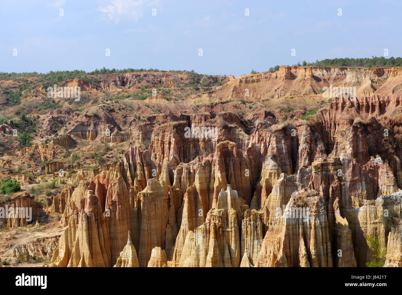 environment enviroment ground soil earth humus china dry dried up ...