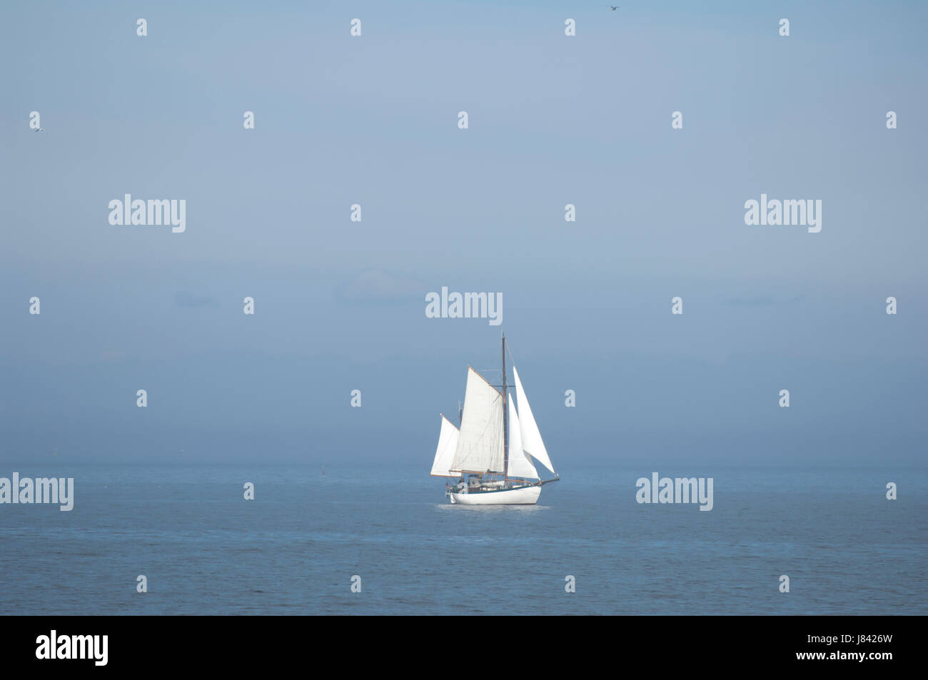 sailing boat sailboat salt water sea ocean water rowing boat boat ...