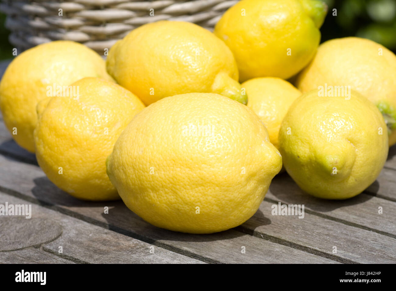 progenies fruits fruit lemons lemon citron fresh yellow shine shines ...