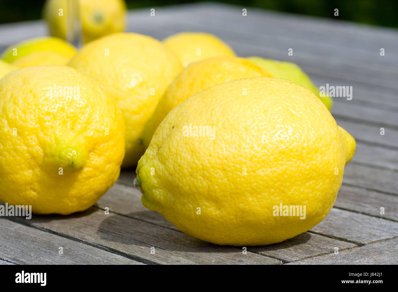 progenies fruits fruit lemons lemon citron fresh yellow shine shines ...