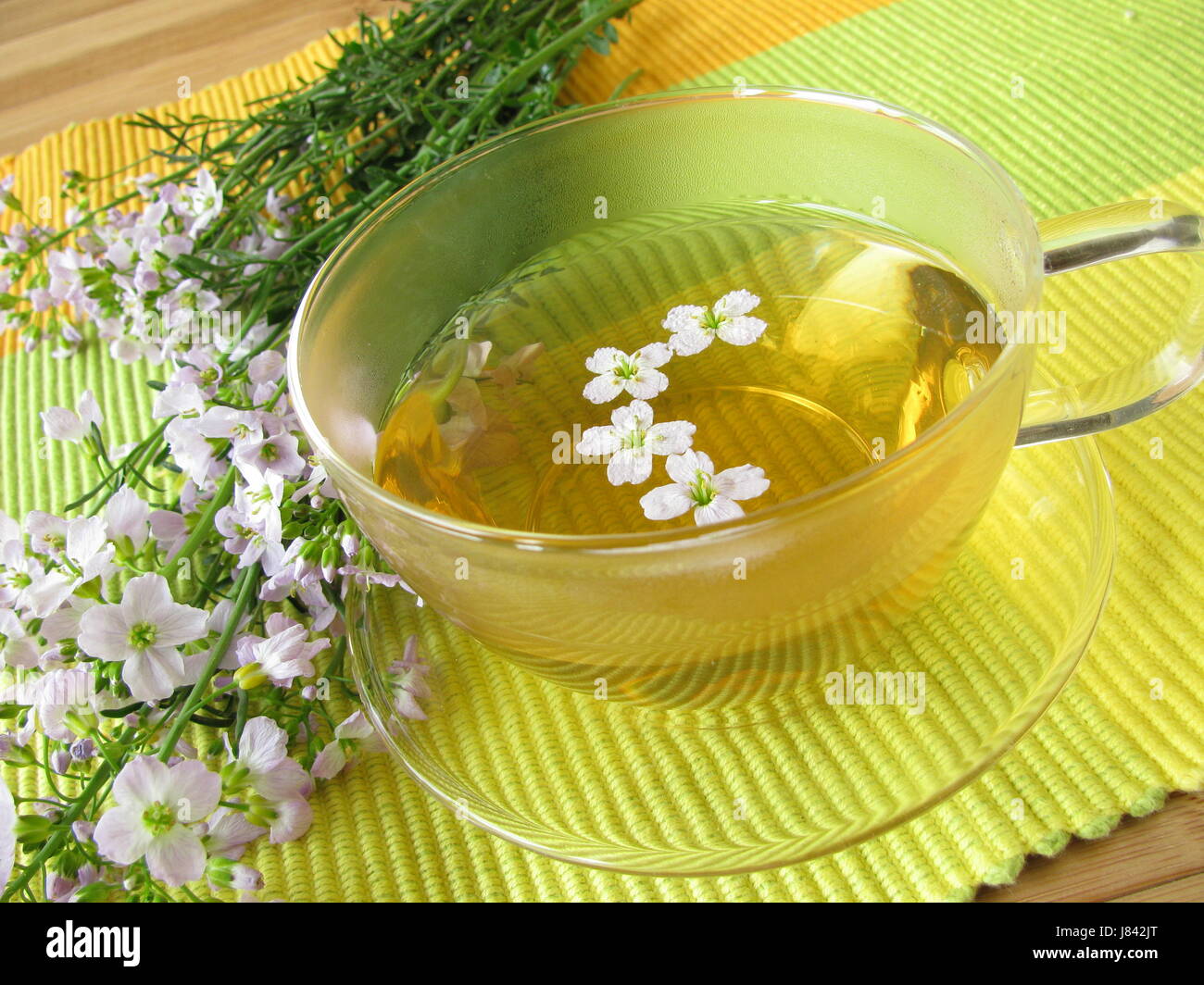 wild herb tea with cuckoo flower Stock Photo - Alamy