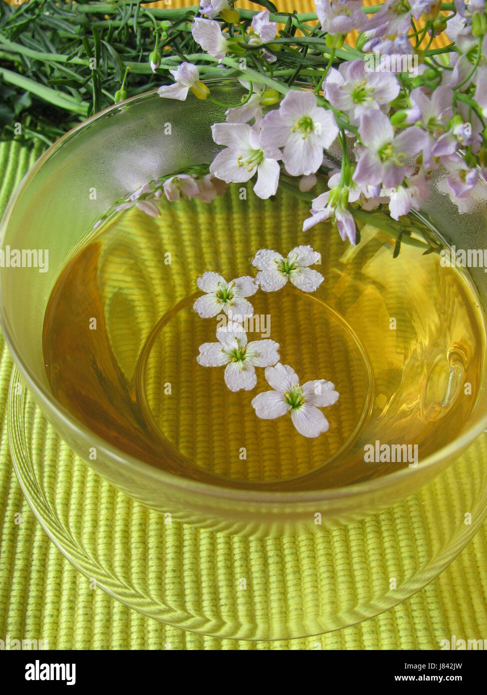 Cuckoo flower tea hi-res stock photography and images - Alamy