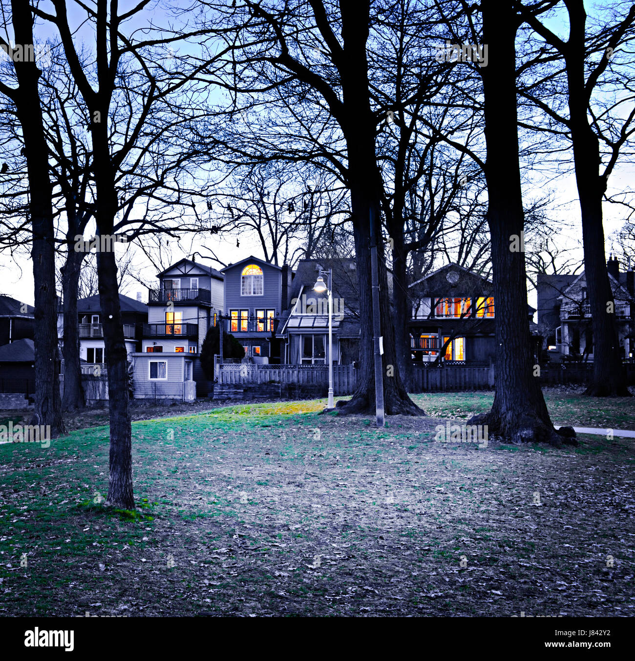 houses city town tree trees park night nighttime dusk homes blue house ...
