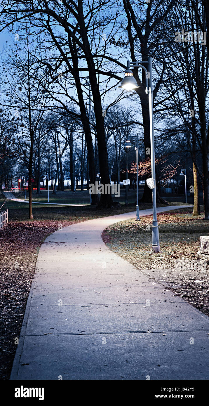 city town tree trees park night nighttime twilight dusk sidewalk path ...
