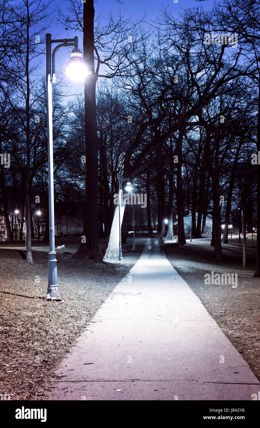 city town tree trees park night nighttime twilight dusk sidewalk path ...
