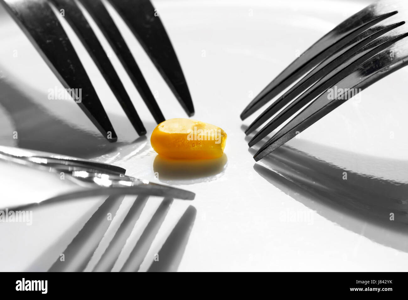 food aliment hunger competition famine food aliment death model design ...