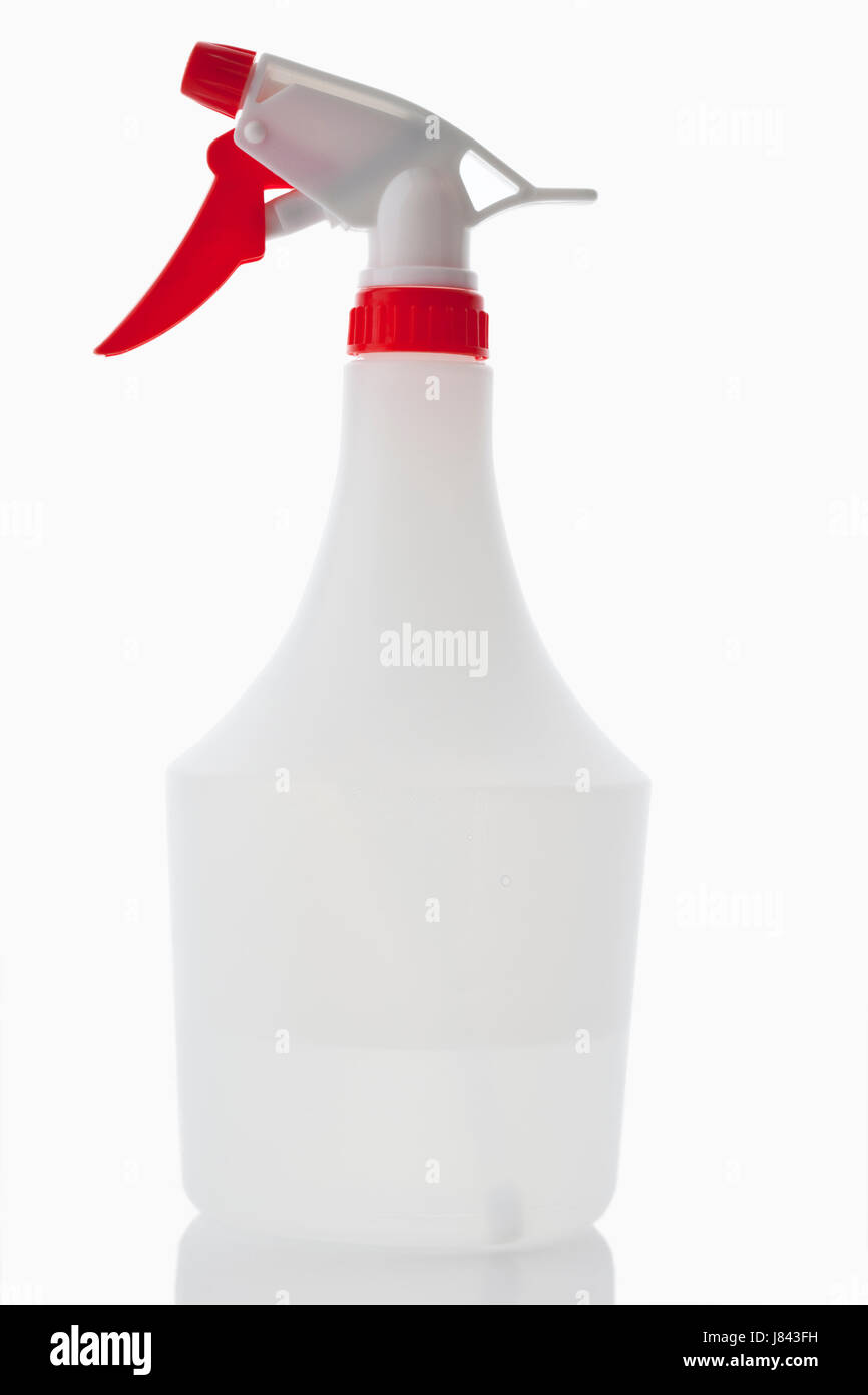 flower flowers plant furbish moist water isolated household plant ...