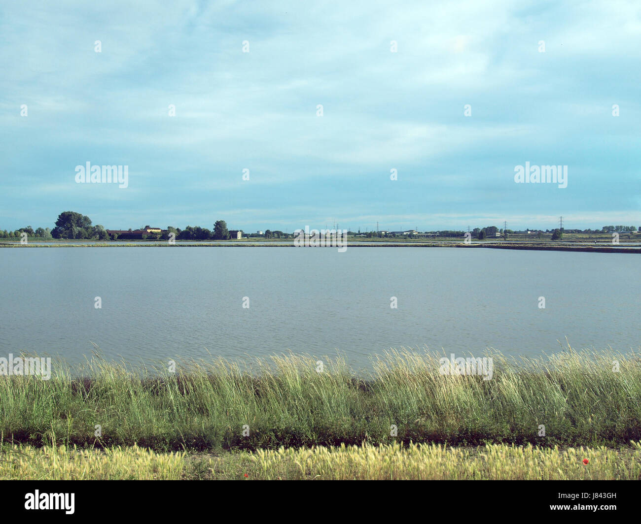 field parcel land flooded realty ground rice package packet food ...