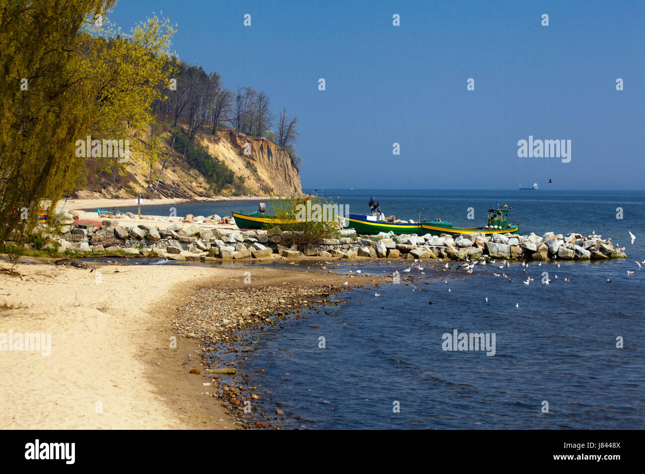 stone beach seaside the beach seashore summer summerly rock aerial view ...
