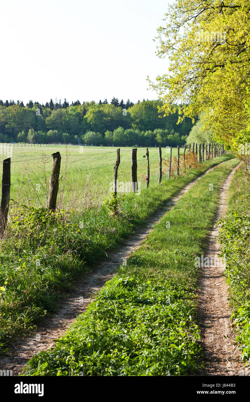 path to the pasture Stock Photo - Alamy
