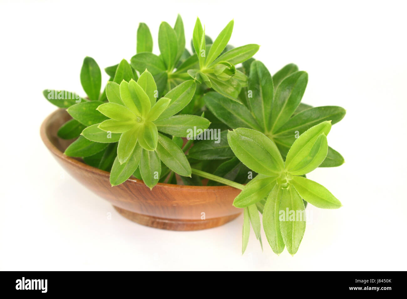 flavour taste woodruff fruit cup herbs spice green alcohol spring ...