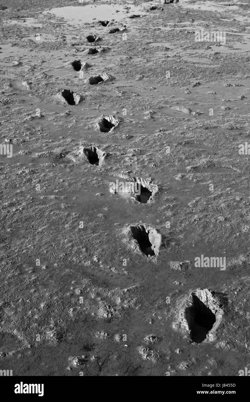 Salt tracks Black and White Stock Photos & Images - Alamy