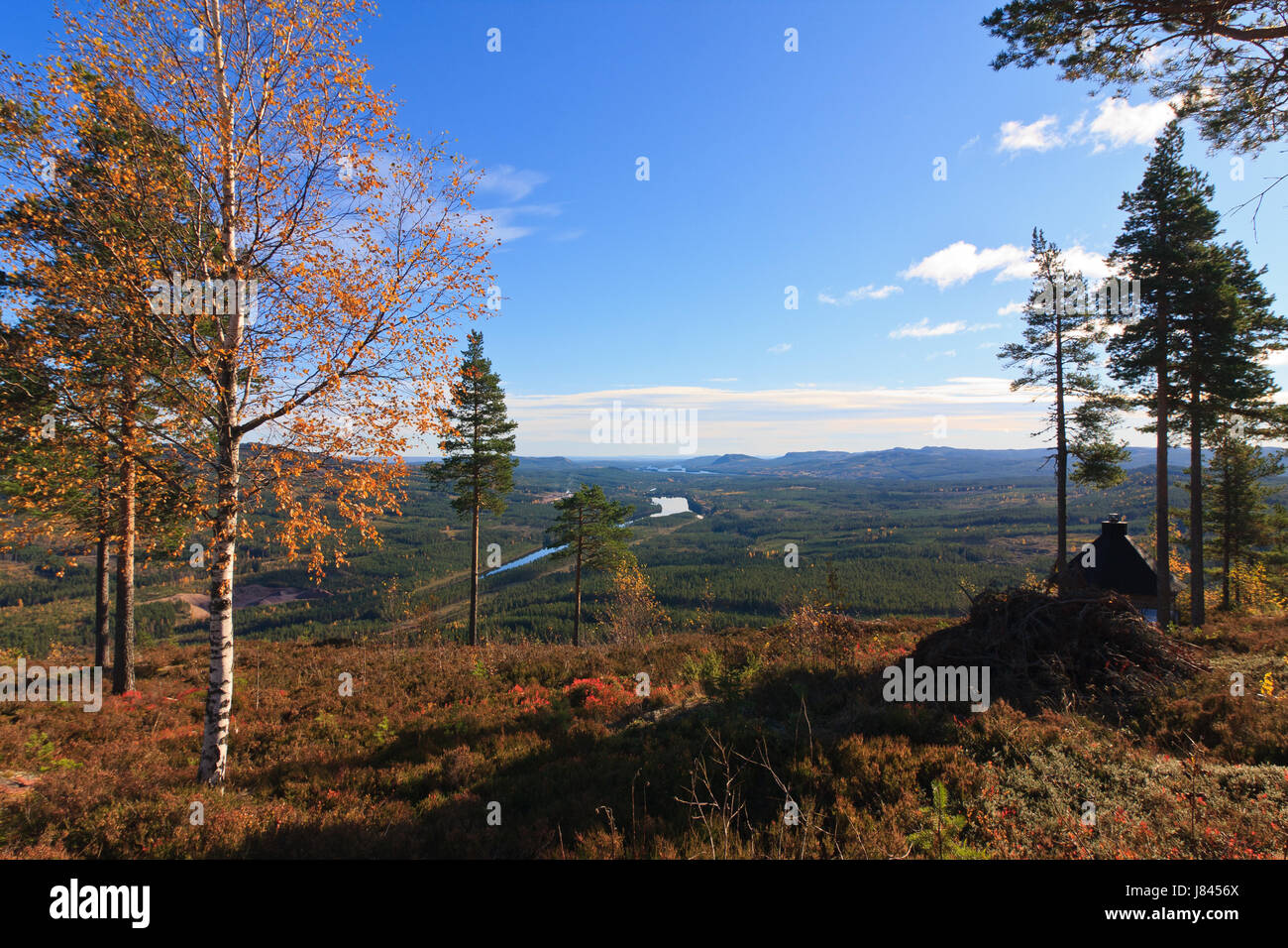 mountain travel tree trees wood distance sweden outdoor sight view ...