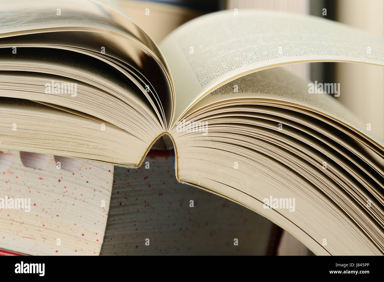 study education stack reading sheet of paper paper book write wrote ...