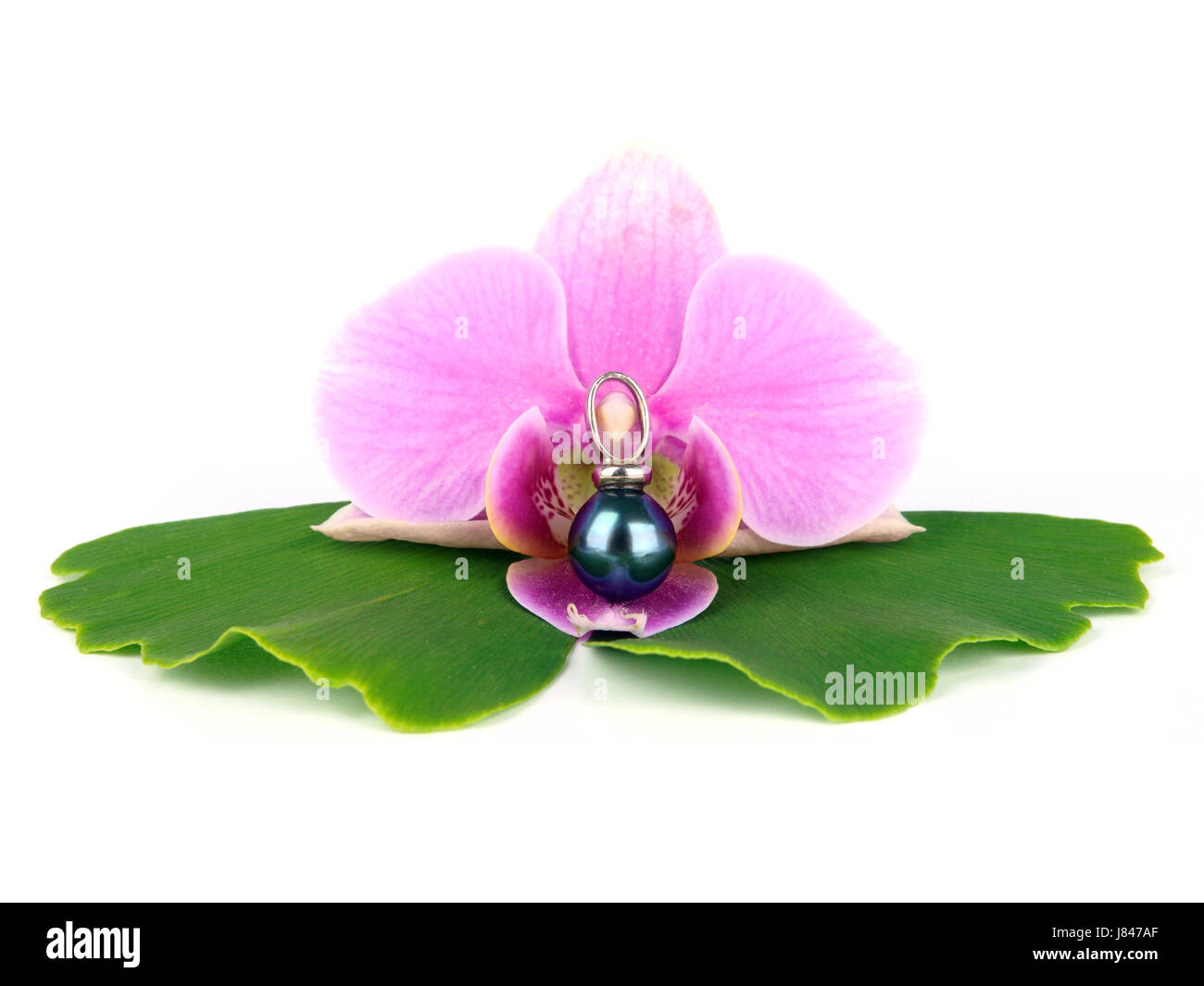 Thank you holidays Cut Out Stock Images & Pictures - Alamy