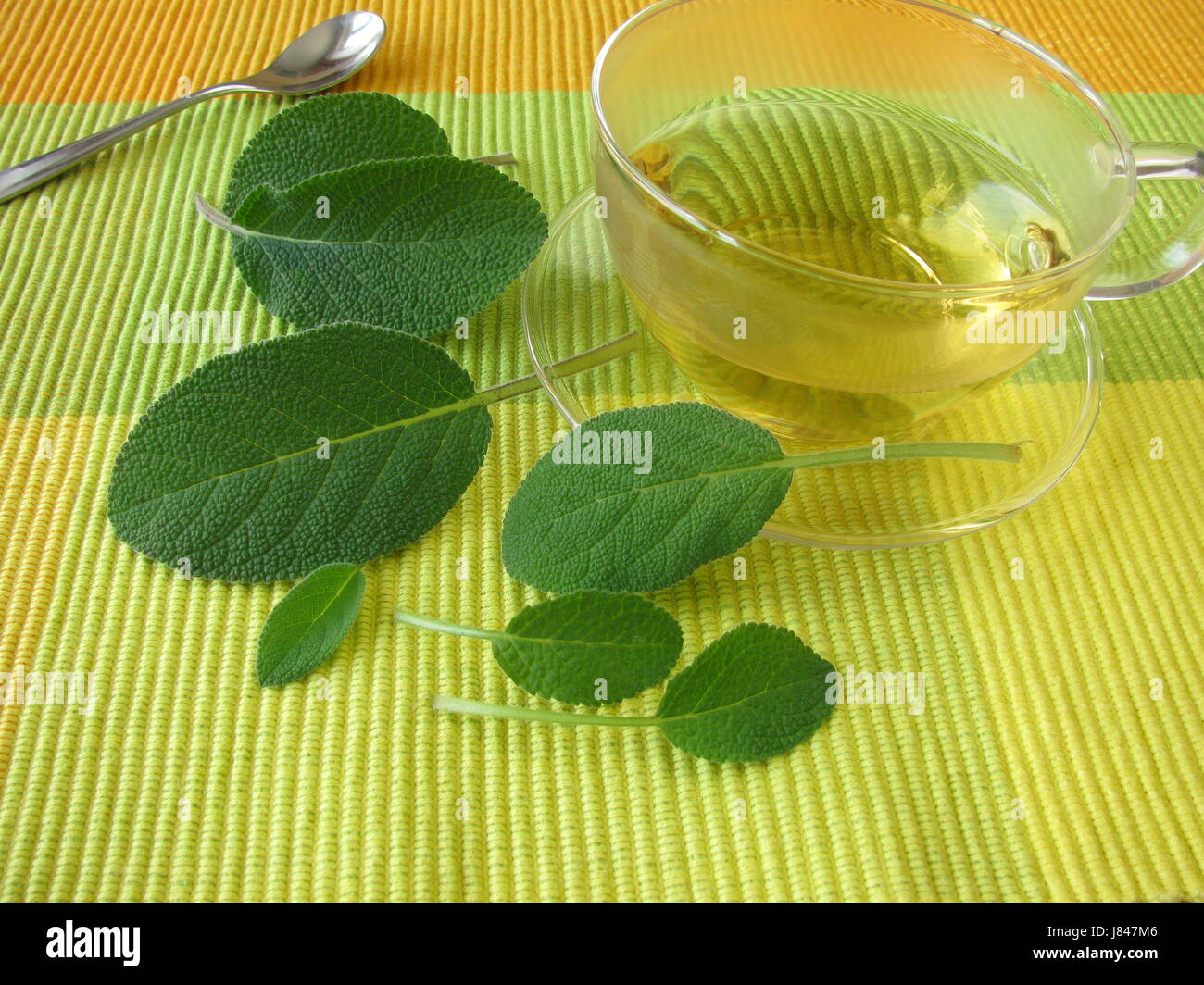 Salbeibltter High Resolution Stock Photography and Images - Alamy