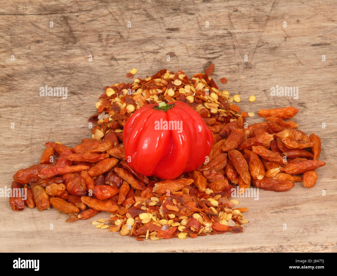 paprika peppers red danger spice antique coloured colourful gorgeous ...