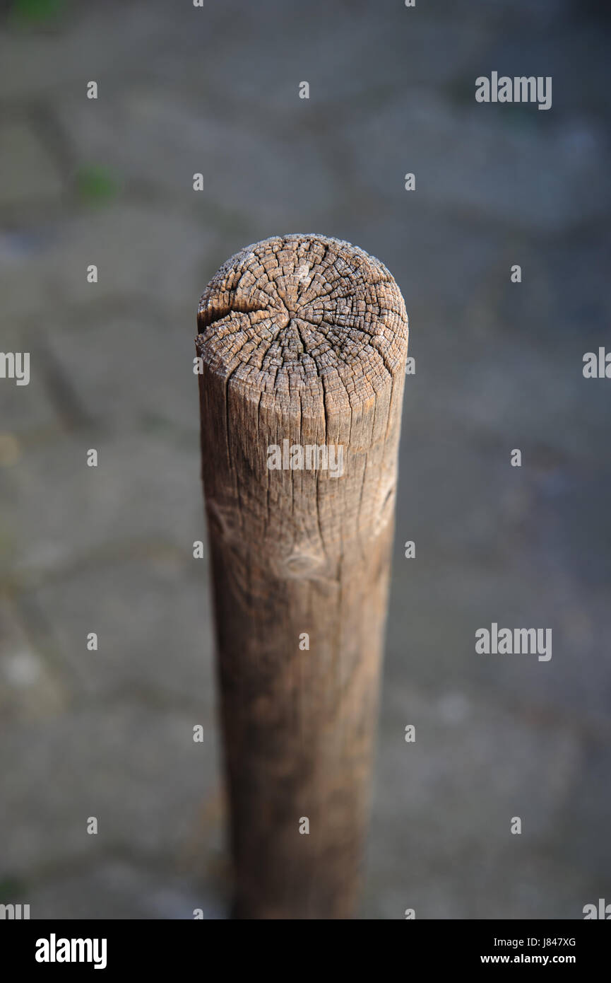 wood pole vein fissured cracked backdrop background nature trunk aerial ...