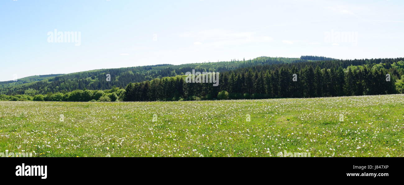 sight view outlook perspective vista panorama lookout meadow scenery ...