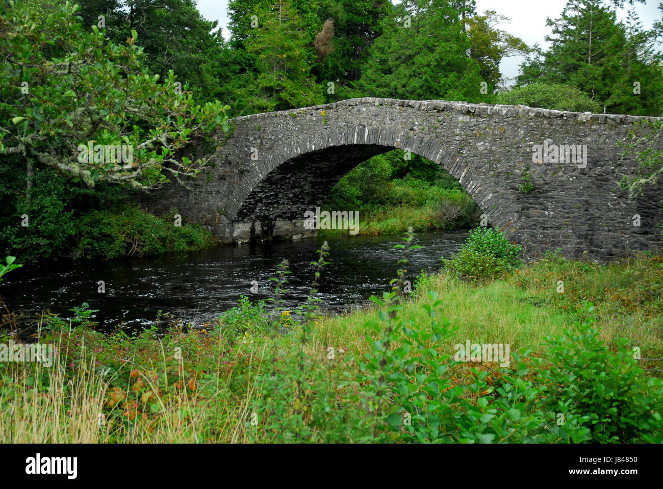 tree trees waters bridges style of construction architecture ...
