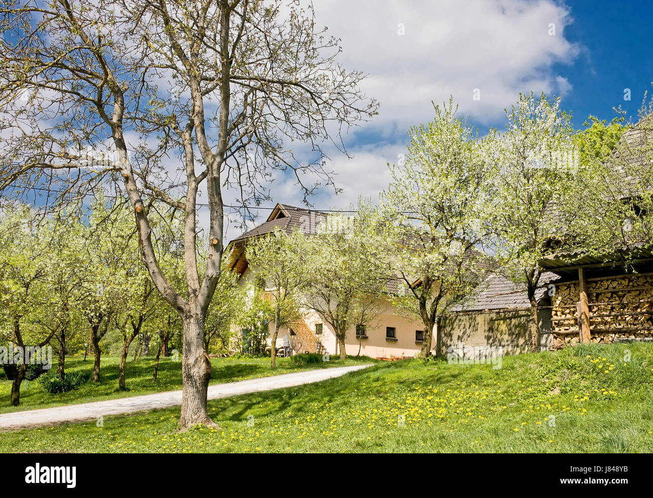 agriculture farming spring yard farm april courtyard nature house ...