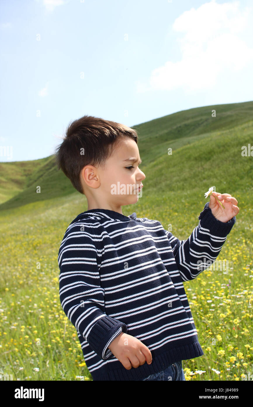 humans human beings people folk persons human human being laugh laughs ...