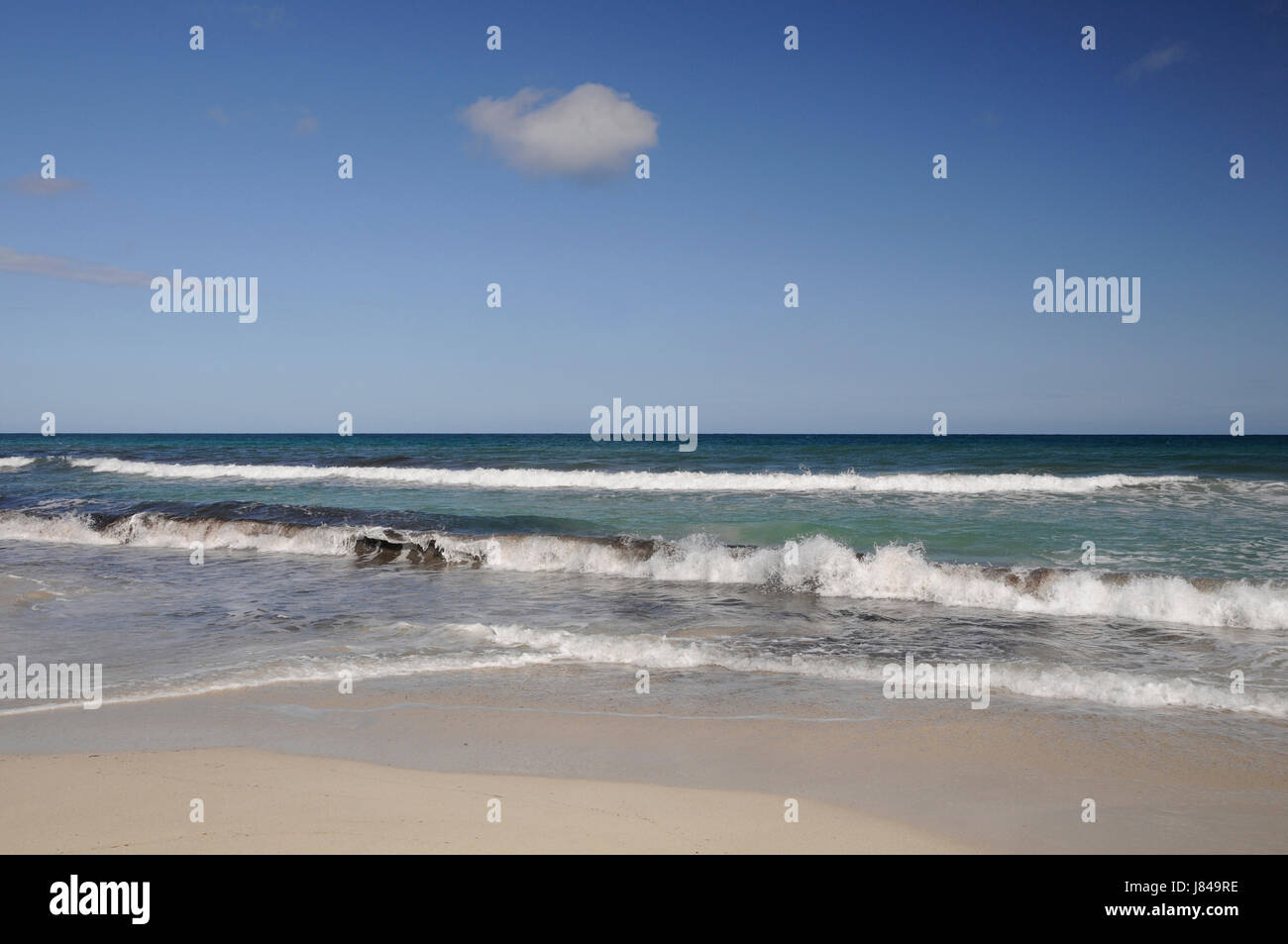 beach seaside the beach seashore coast sandy beach salt water sea ocean ...