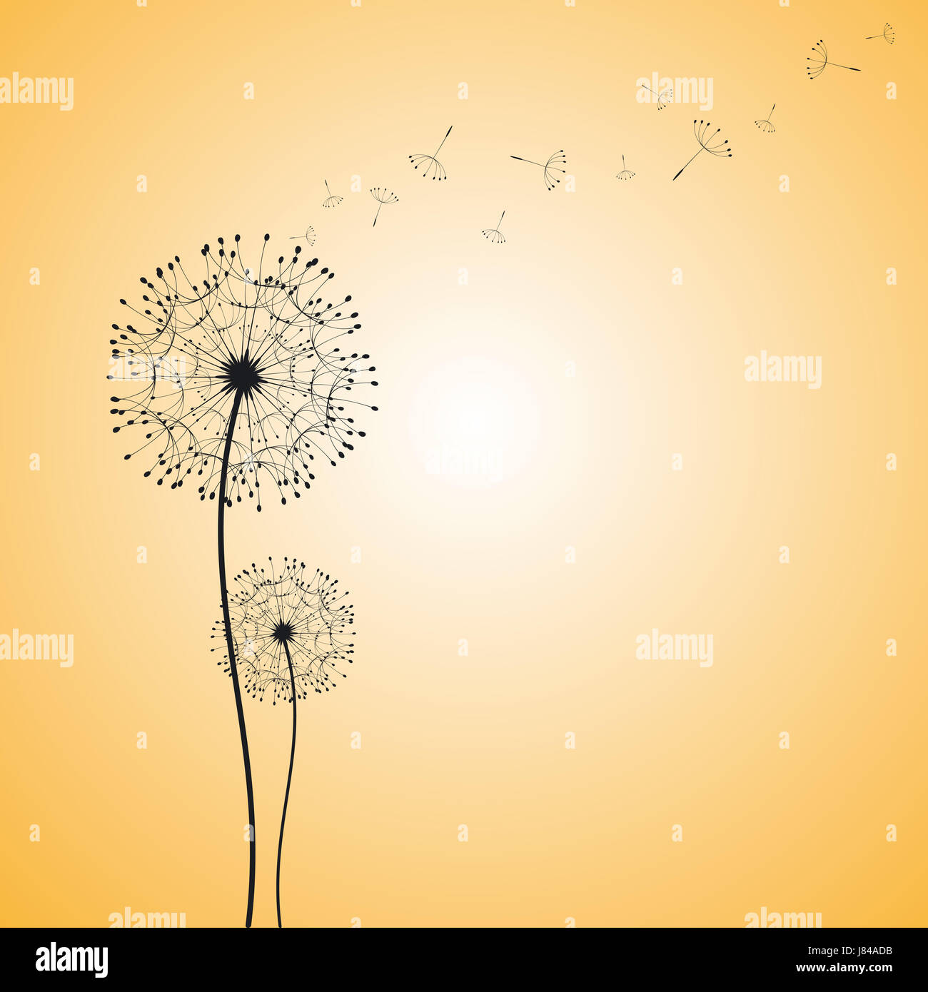 illustration dandelion abstract postcard greeting card backdrop ...