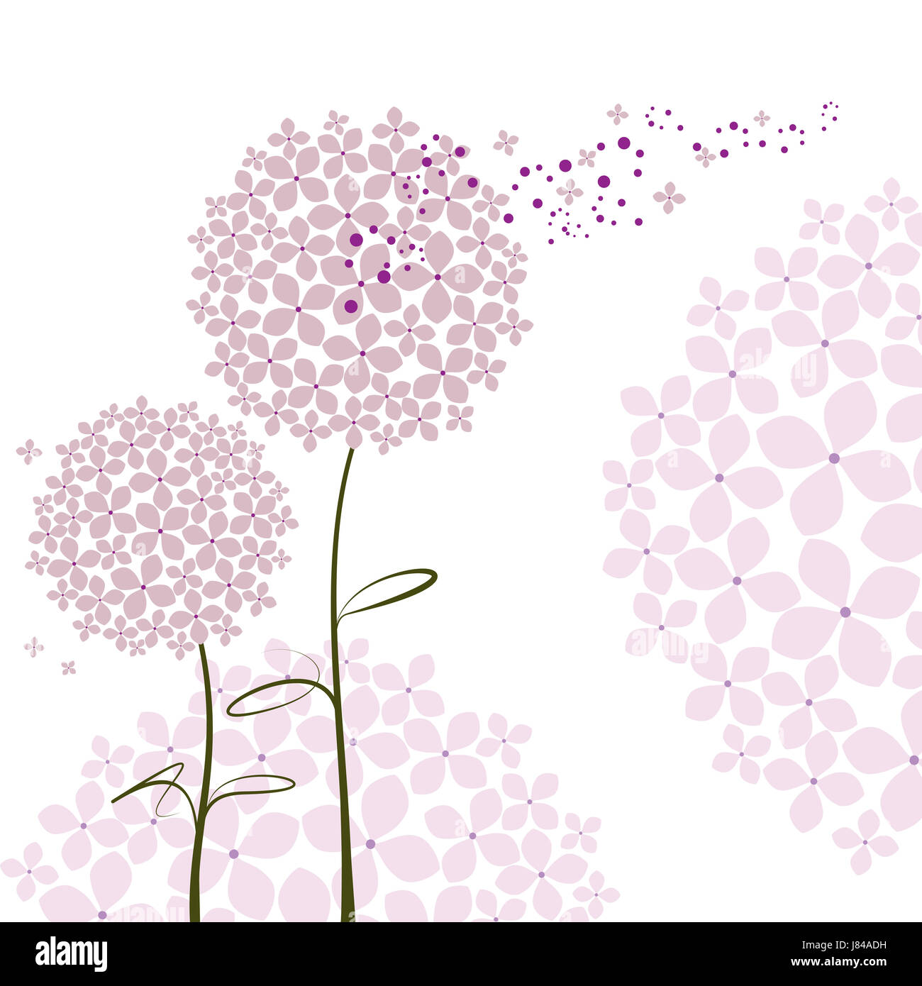 flower plant abstract postcard greeting card backdrop background floral ...