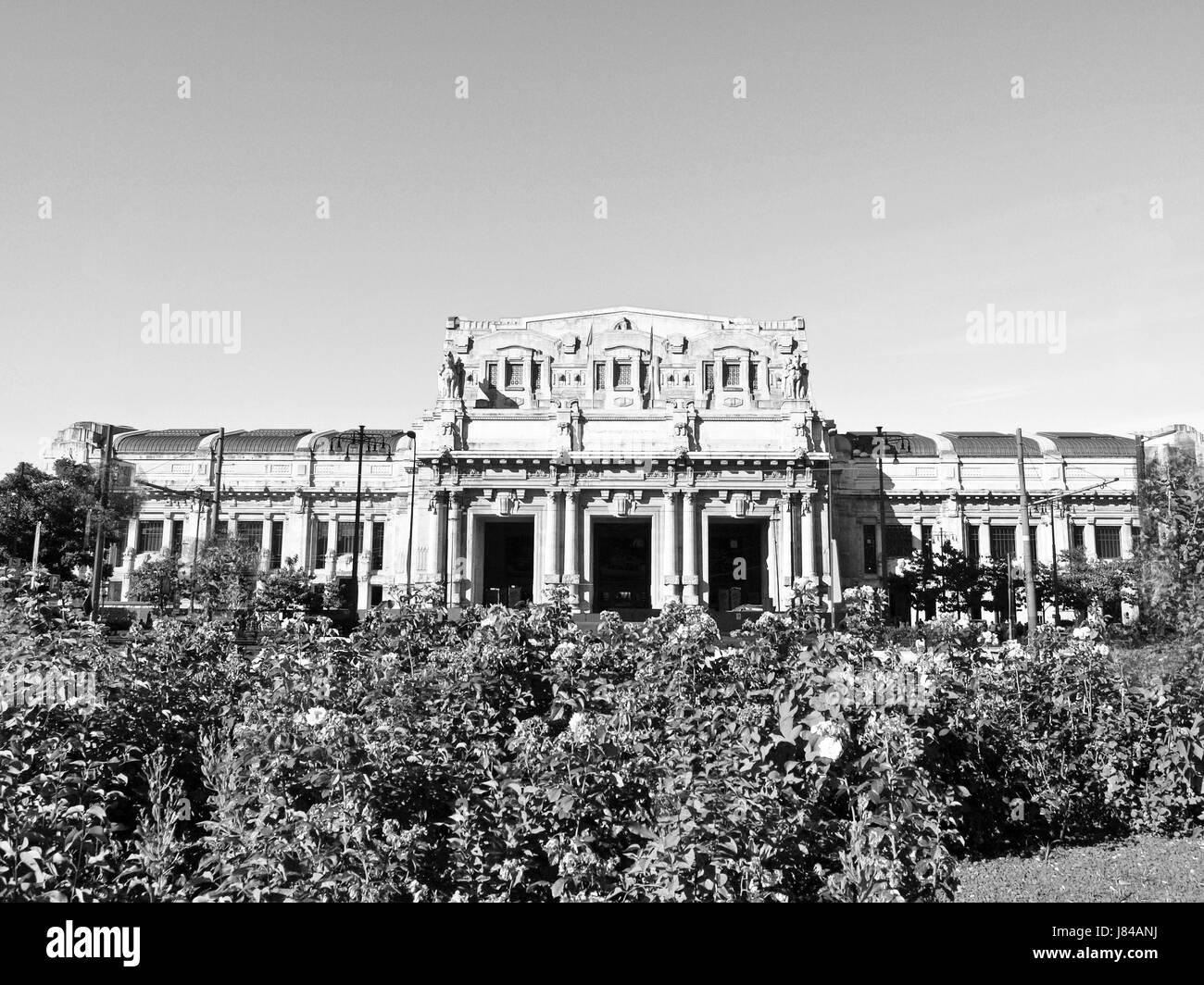 black swarthy jetblack deep black europe classical central style of ...