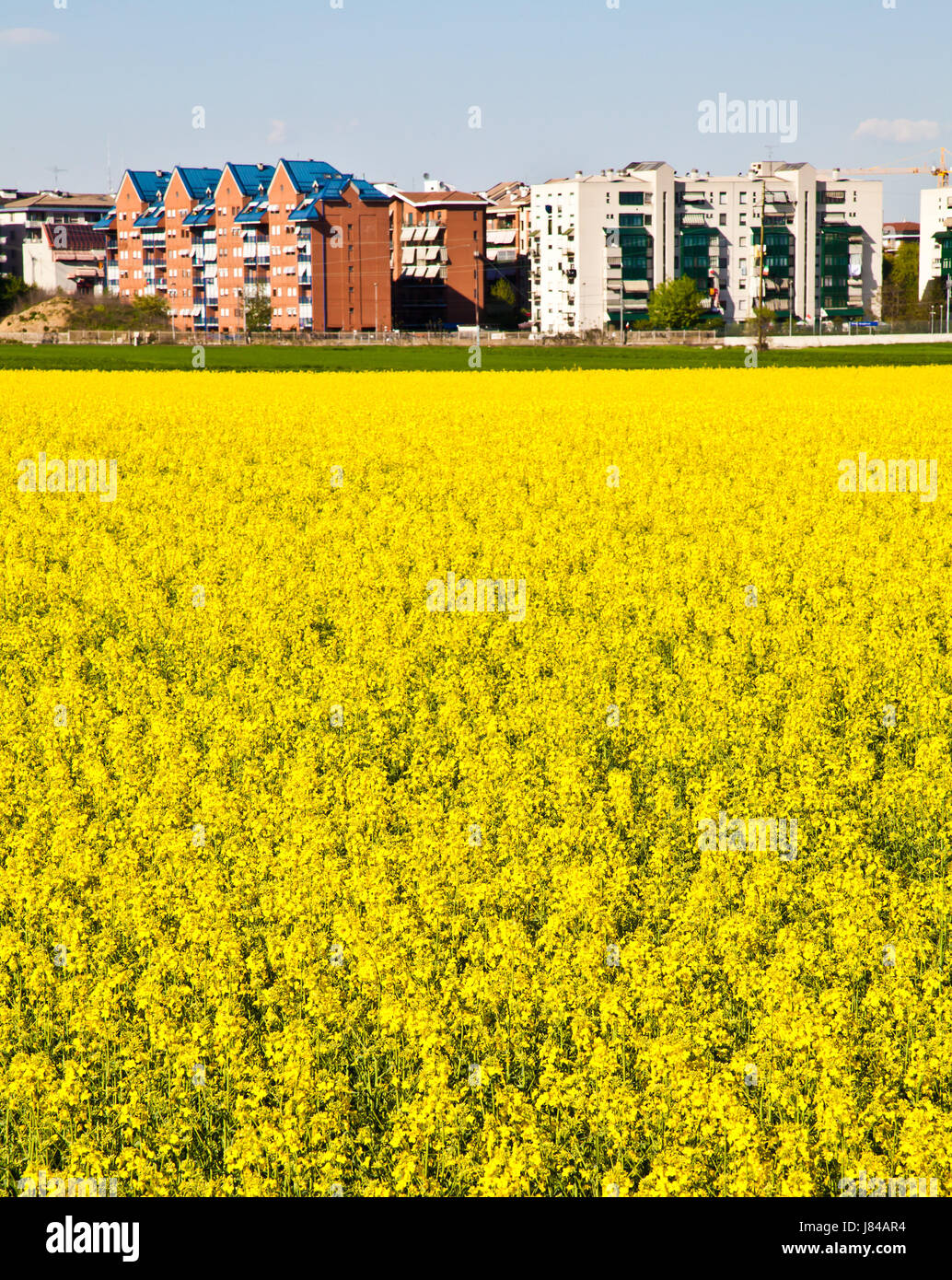 blue house building build buildings city town environment enviroment ...