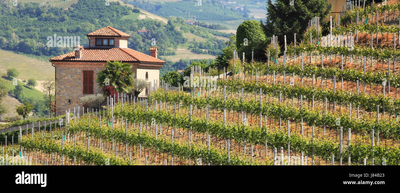 europe vineyard sight view outlook perspective vista panorama lookout ...